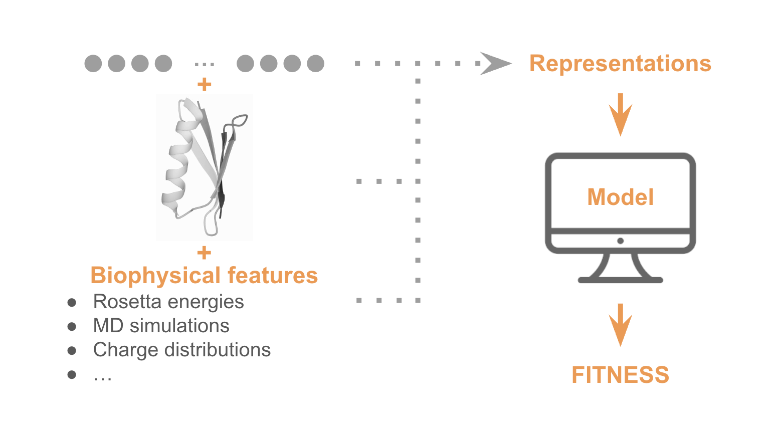Multimodal Representation Learning for Proteins | Francesca-Zhoufan Li Multimodal Representation Learning for Proteins | Francesca-Zhoufan Li