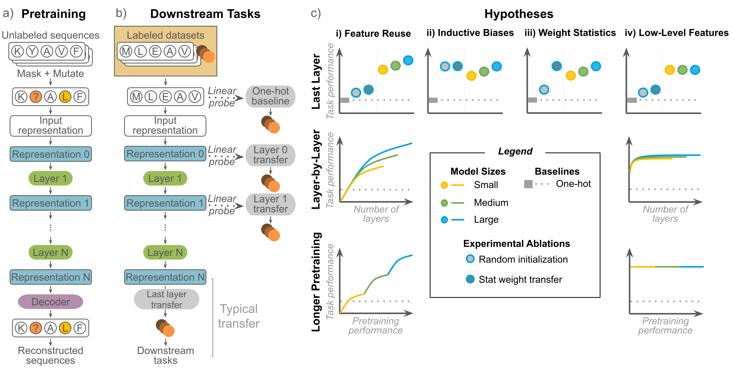 Feature Reuse and Scaling: Understanding Transfer Learning with Protein ...