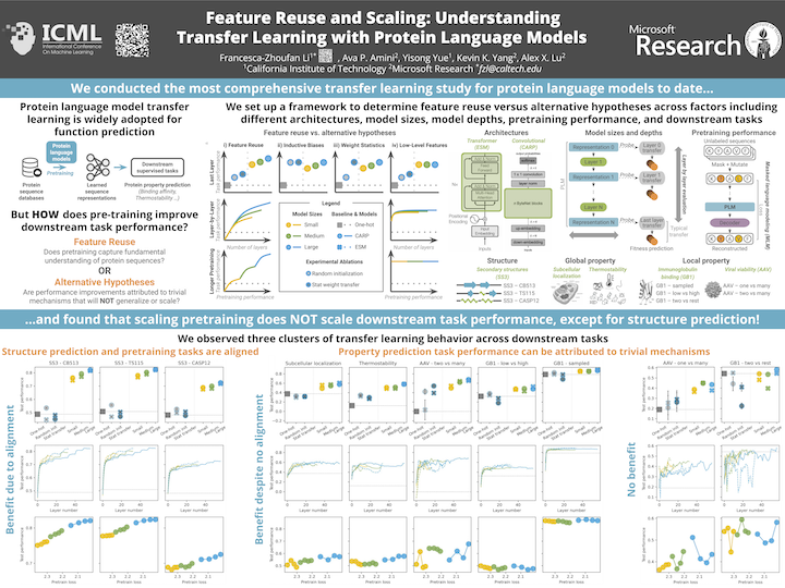 Feature Reuse and Scaling: Understanding Transfer Learning with Protein ... Feature Reuse and Scaling: Understanding Transfer Learning with Protein ...
